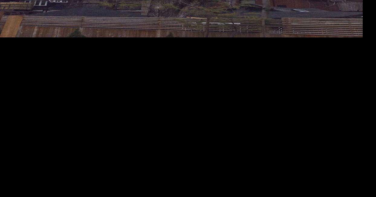 NATURAL ROOTS: Annex’s bur oak is more than 350 years old, the largest ...