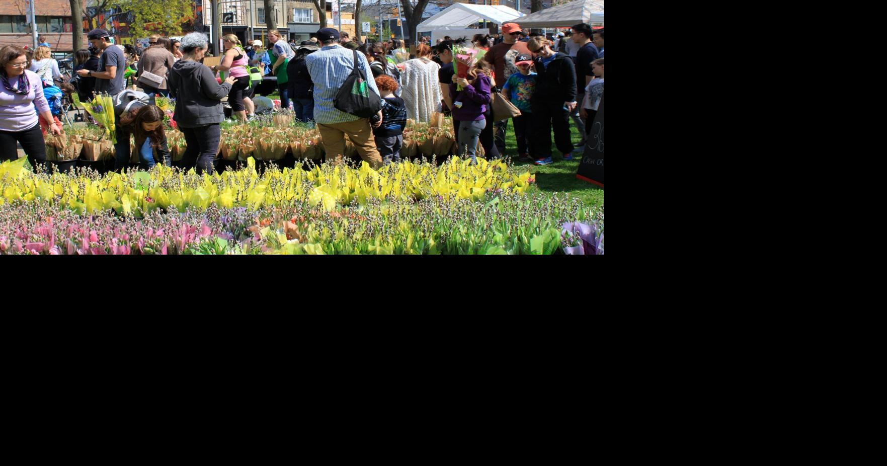 Toronto’s blooming Flower Market opens this weekend
