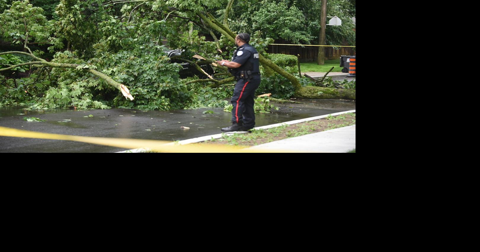 Severe Thunderstorm Knocks Down Trees Floods Roads Throughout Toronto