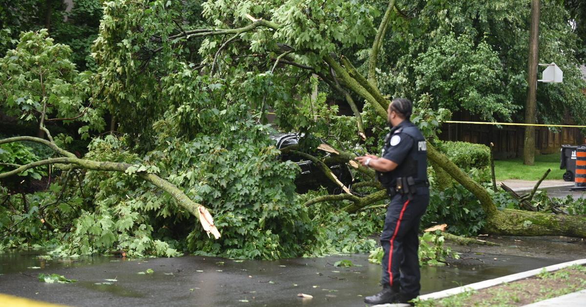 Severe Thunderstorm Knocks Down Trees Floods Roads Throughout Toronto