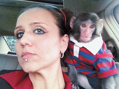 nasty monkey owners