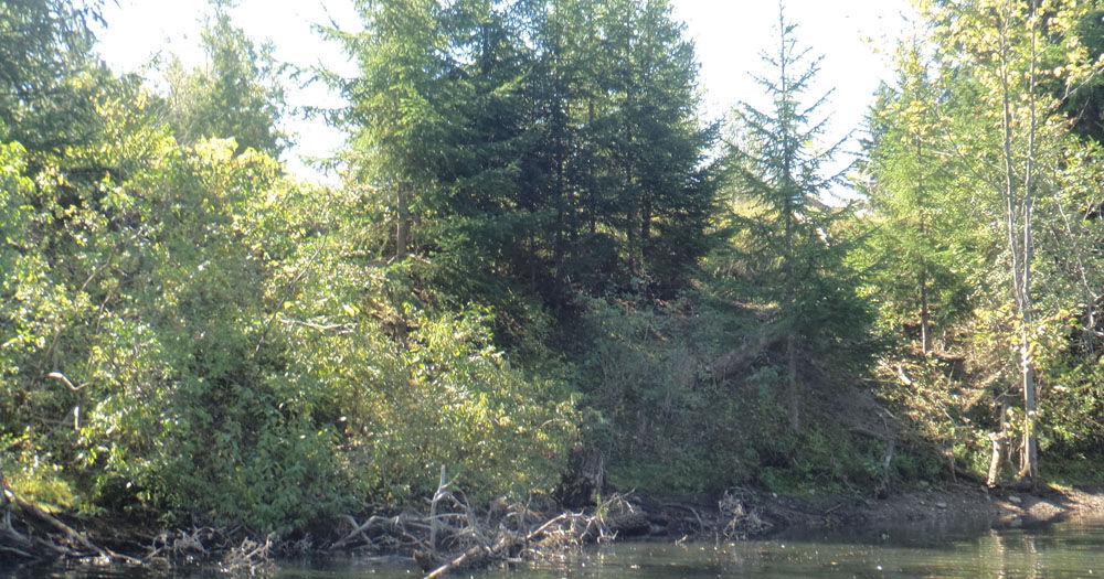 STORIES FROM ROUGE PARK: Preventable accident offers saddest story in ...