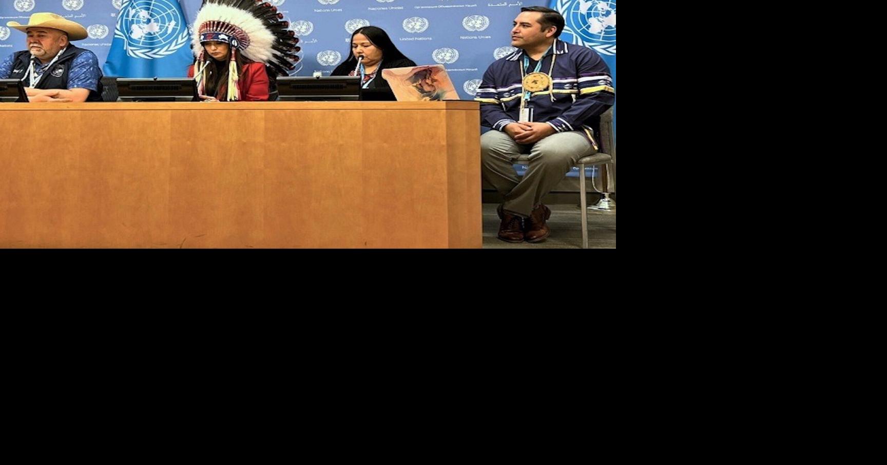 Anishinabek Nation Grand Council Chief carries strong message to United ...