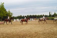 Where to Horseback Ride in Toronto & the GTA