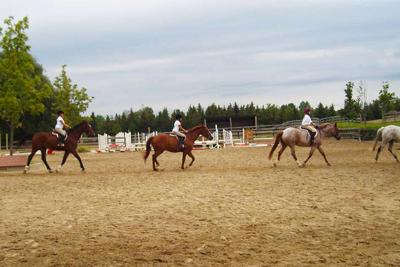 Where to Horseback Ride in Toronto & the GTA