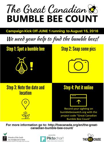 uReport: Join the Great Canadian Bumble Bee Count and help save the ...