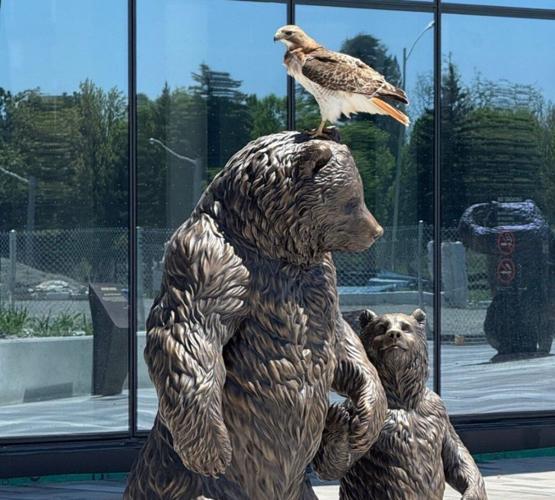 Toronto’s newest park with a giant bear statue has opened