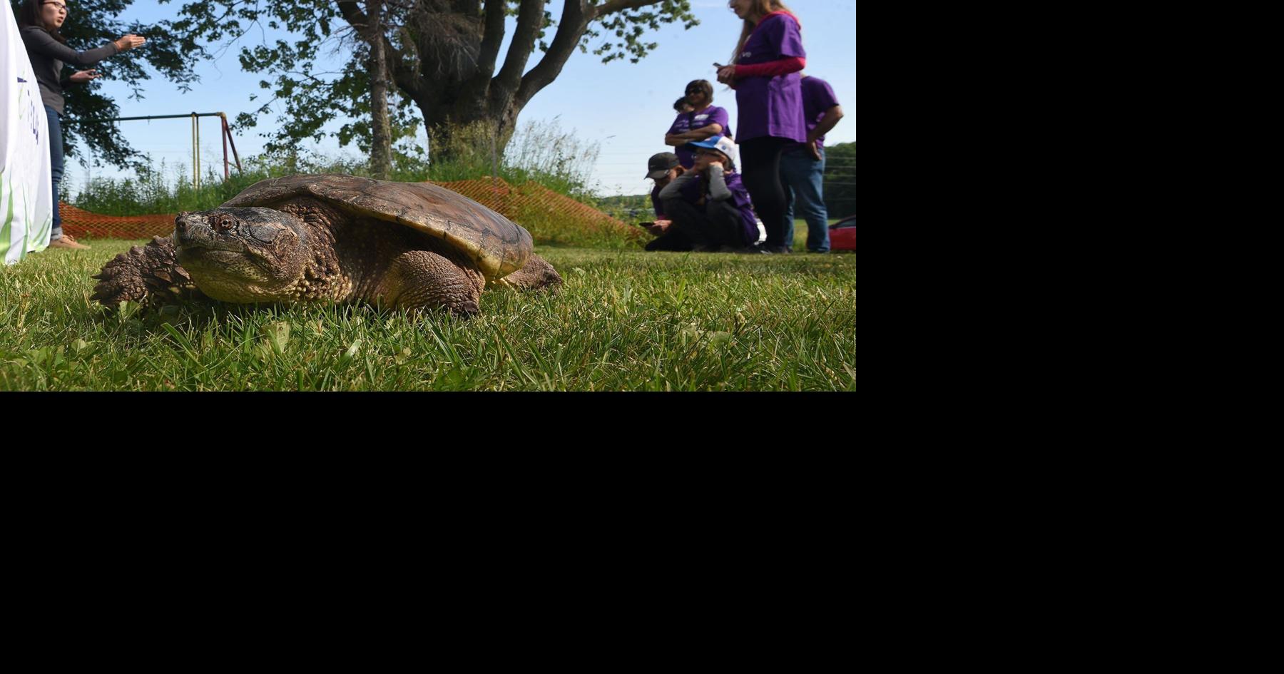 Telus volunteers help Toronto Wildlife Centre with donation and work