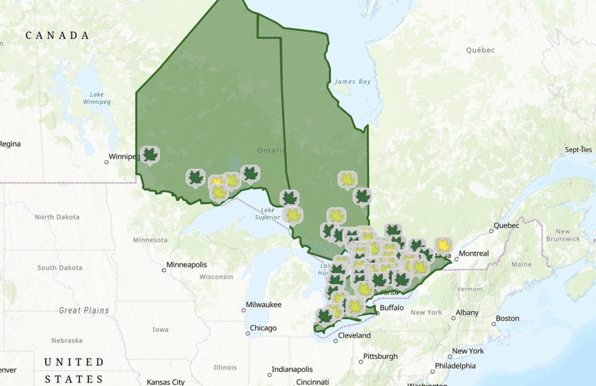 This map shows where to see Ontario’s fall colours