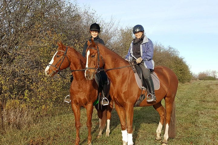 Where to Horseback Ride in Toronto & the GTA