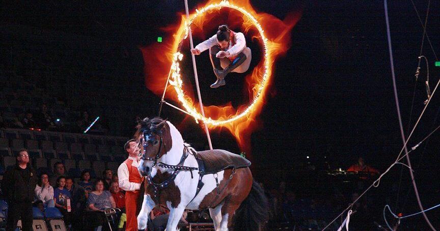 5 fun acts to see at the Royal Canadian Family Circus in Etobicoke