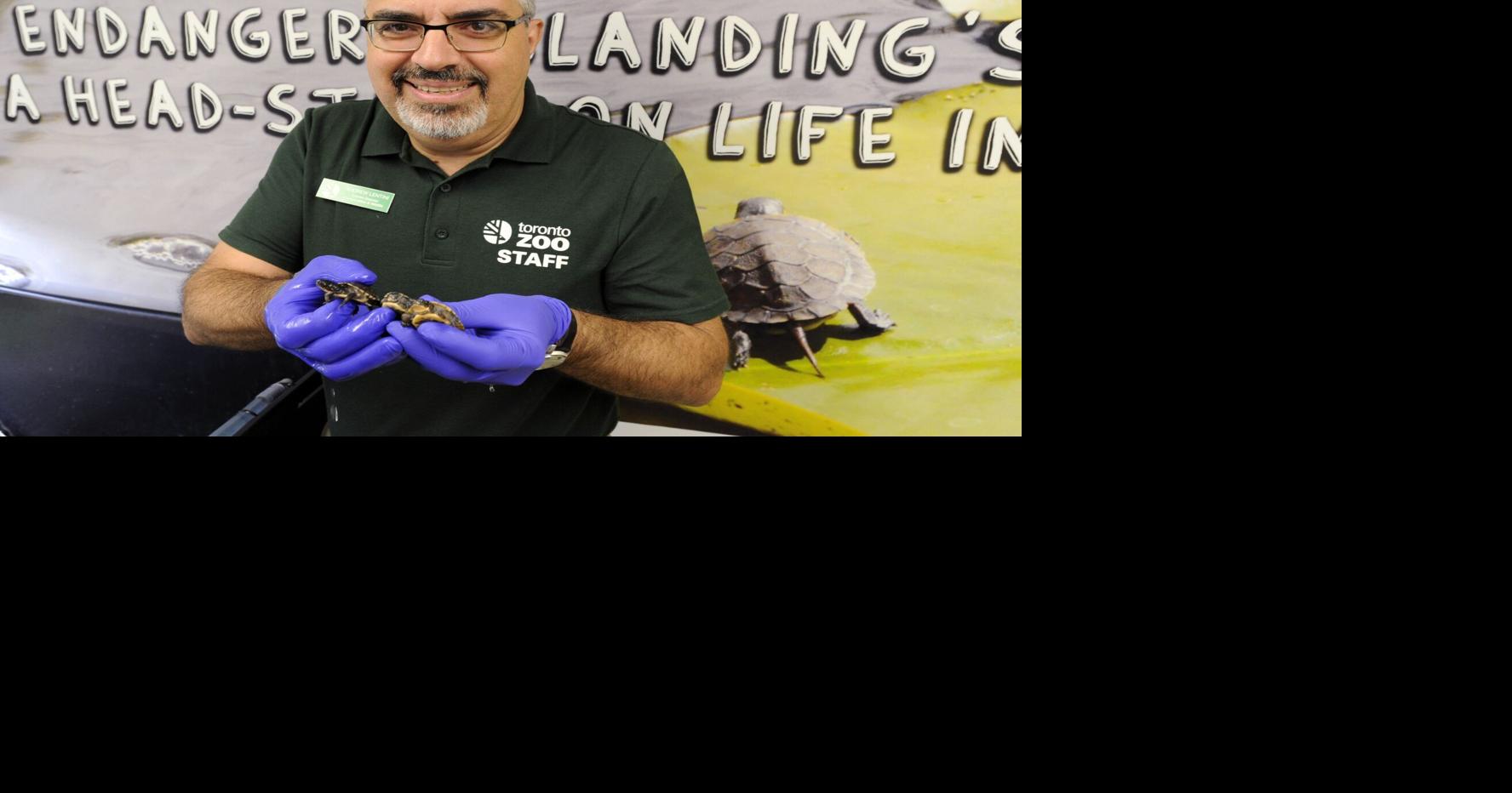 URBAN HERO: Toronto Zoo’s Dr. Andrew Lentini a conservation champion