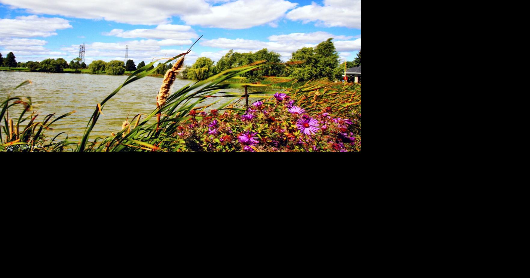 Jeff Taylor’s fall colours at Etobicoke’s Centennial Park