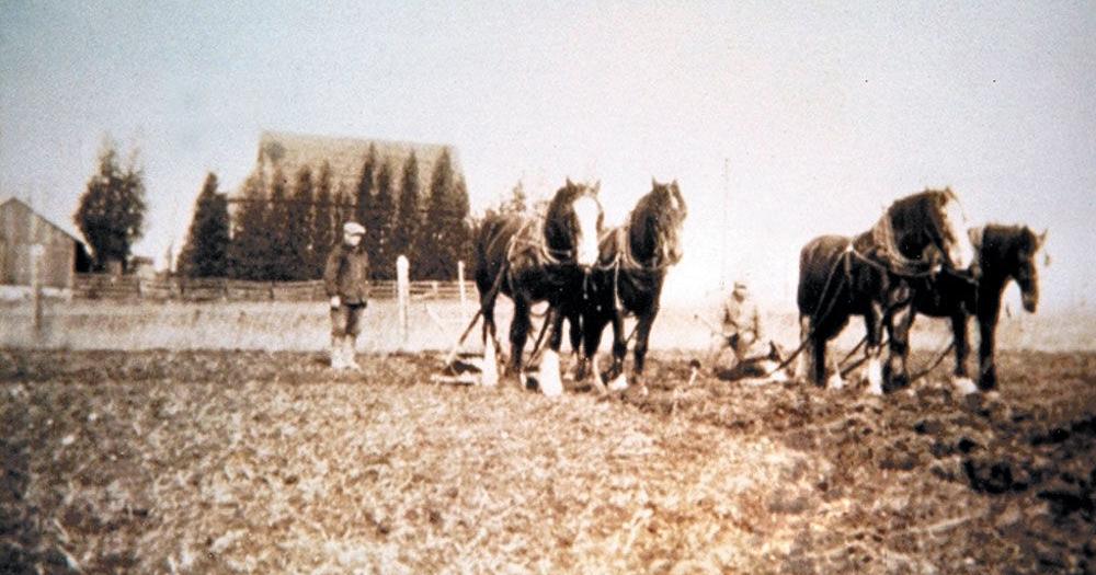 ETOBICOKE HISTORY CORNER: The intersection of Richview once a busy ...