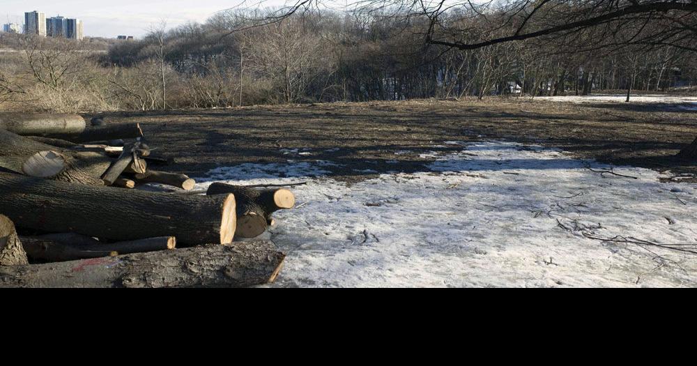 Chorley Park plans still ‘a work in progress’ | News | toronto.com