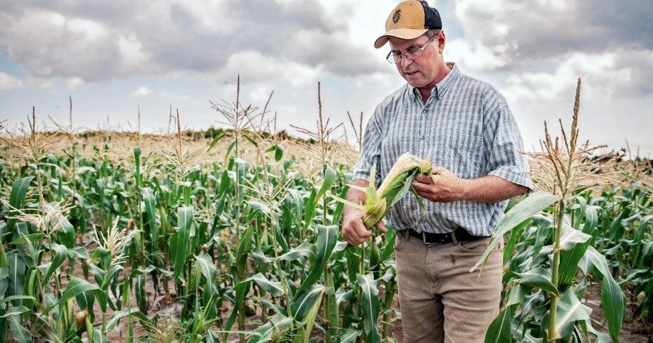 Taste of the Trail — fostering farming in Rouge National Urban Park