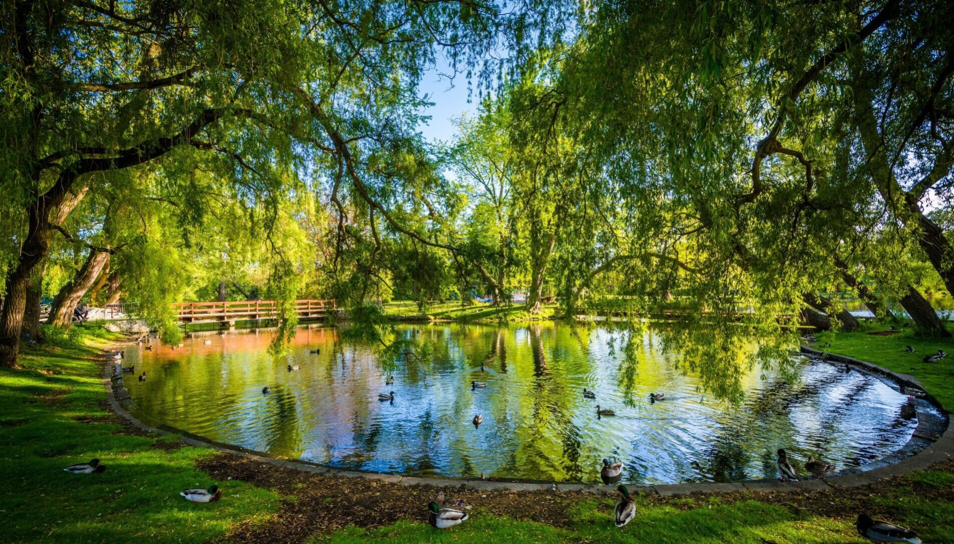 These are the best parks and natural escapes around Toronto