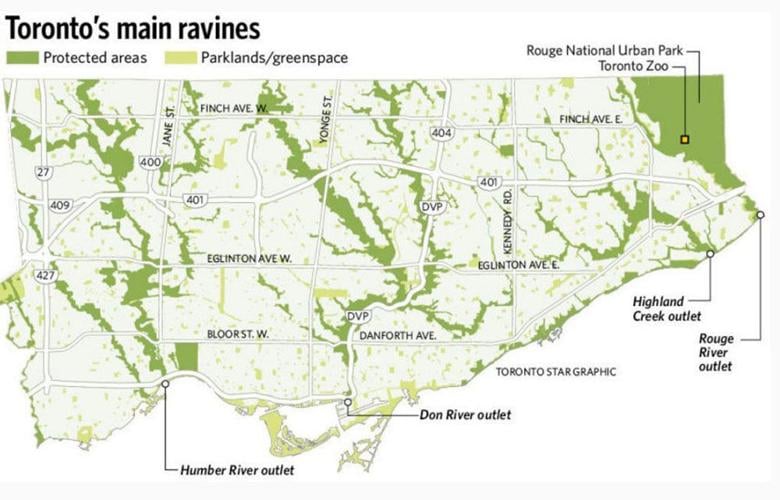 Why our ravines are the city below Toronto | News | toronto.com