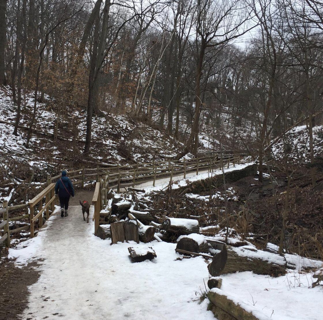 Best winter hiking trails in and around Toronto & the GTA