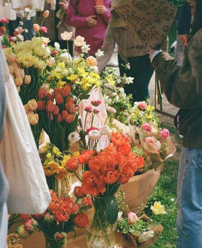 Toronto Flower Market set to kick off its new season