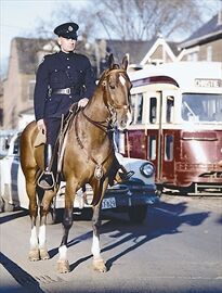 Longtime Mounted officer honoured | News | toronto.com