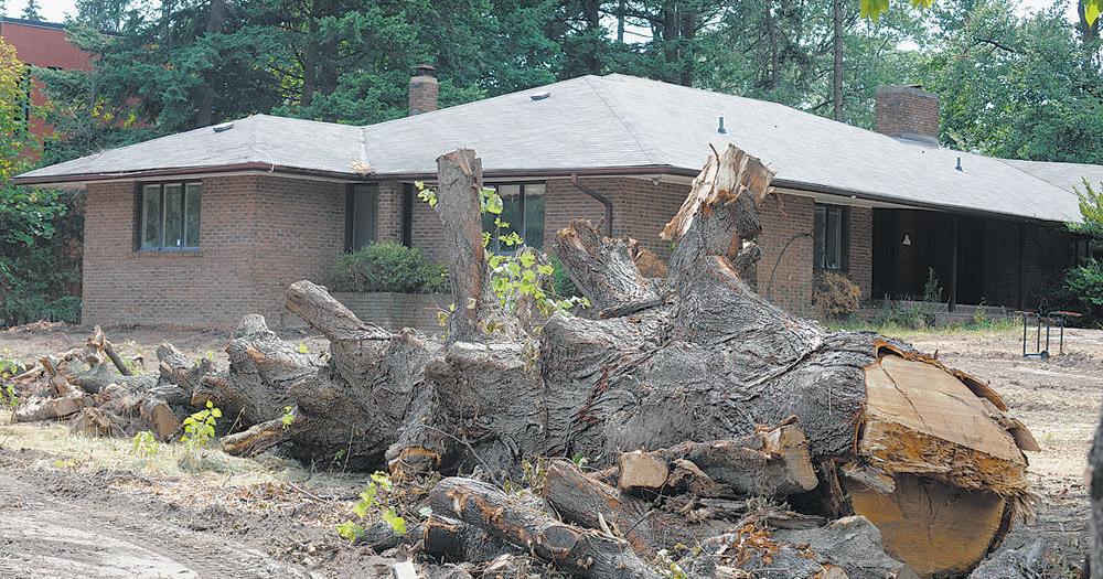 Toronto Mayor John Tory expresses horror after seeing torn-down Linden ...