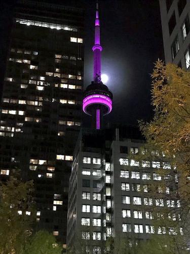 Rhonda Shepherd’s purple CN Tower at night