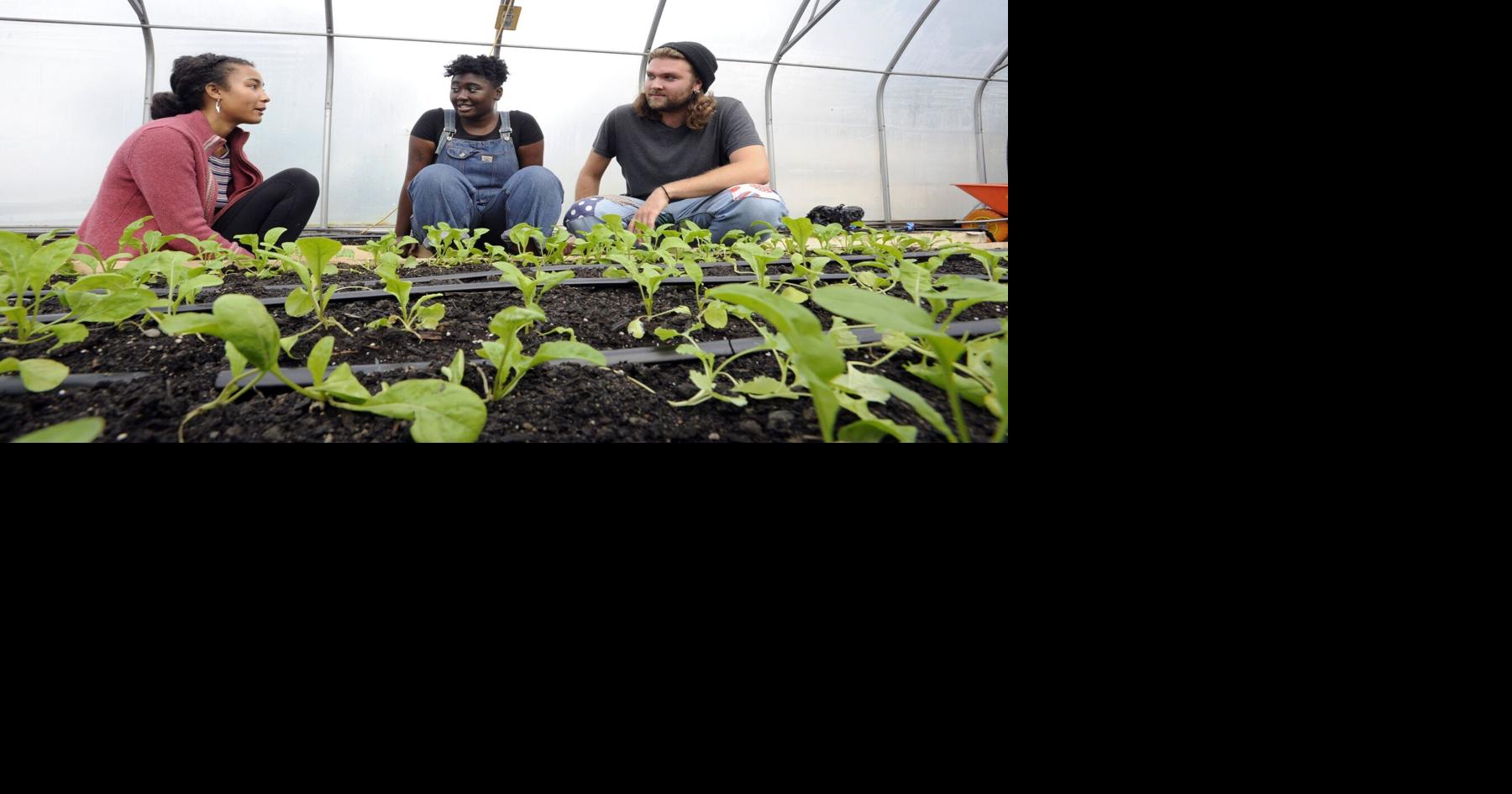 Toronto woman starts urban farming program to help marginalized youth