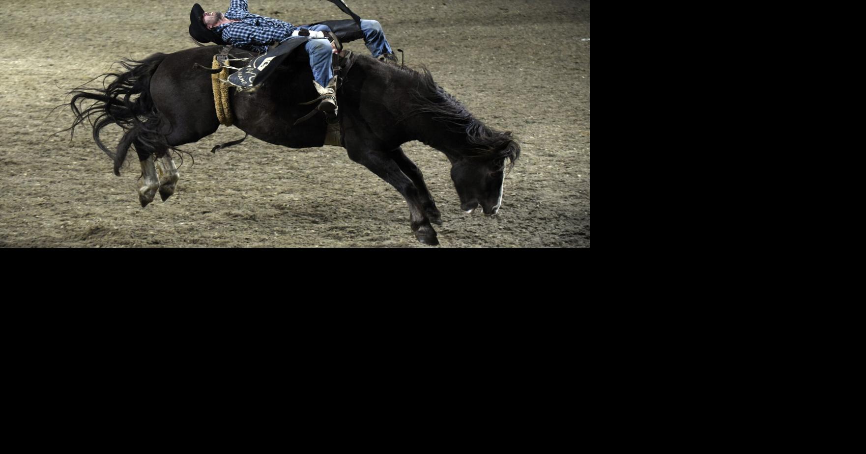 Justin Greaves’ Toronto: The rodeo bucks into the Royal Winter Fair