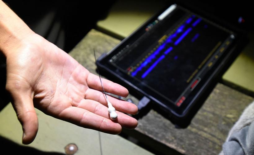 PHOTO SHOOTS: Toronto Zoo offers an evening Bat Walk