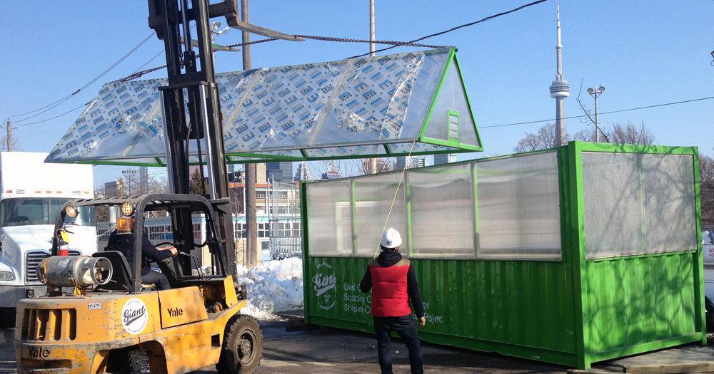 Scadding Court Community Centre gardening program grows with new greenhouse