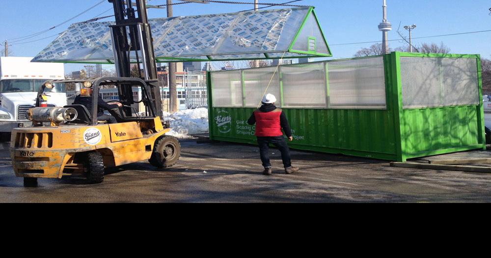 Scadding Court Community Centre gardening program grows with new ...