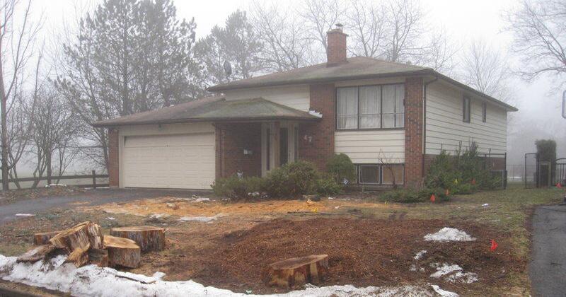 Markham woman faces $10,800 fine or has to plant 18 trees