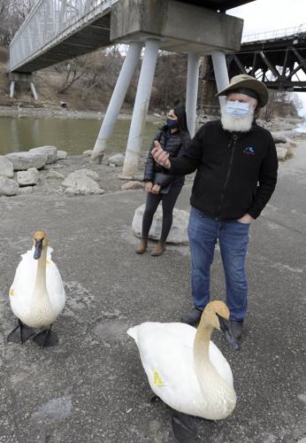 Rouge Park boardwalk between Scarborough and Pickering seen as threat ...