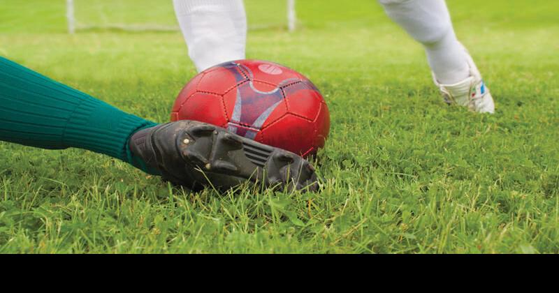 LCI gains $800,000 FIFA soccer field, lights and dome | News | toronto.com