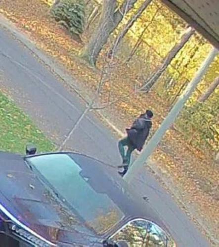 Toronto police search for suspect after woman assaulted near Allen Road