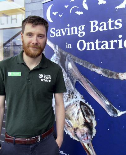 Bats threatened by habitat loss, wind turbines and urbanization