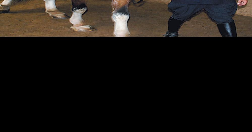 Toronto police honour fallen officer Ryan Russell by naming police ...