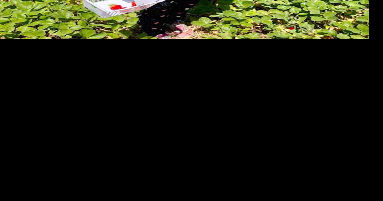 GoFundMe campaign hopes to cover funeral costs for drowning victims