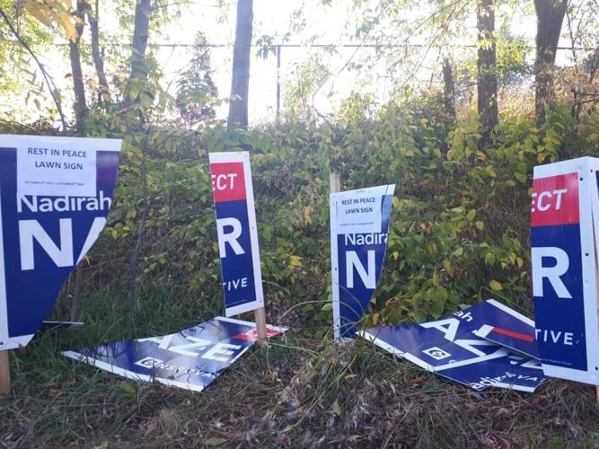 Beaches East York Conservative Candidate Confronts Man Tearing Down Her Signs News