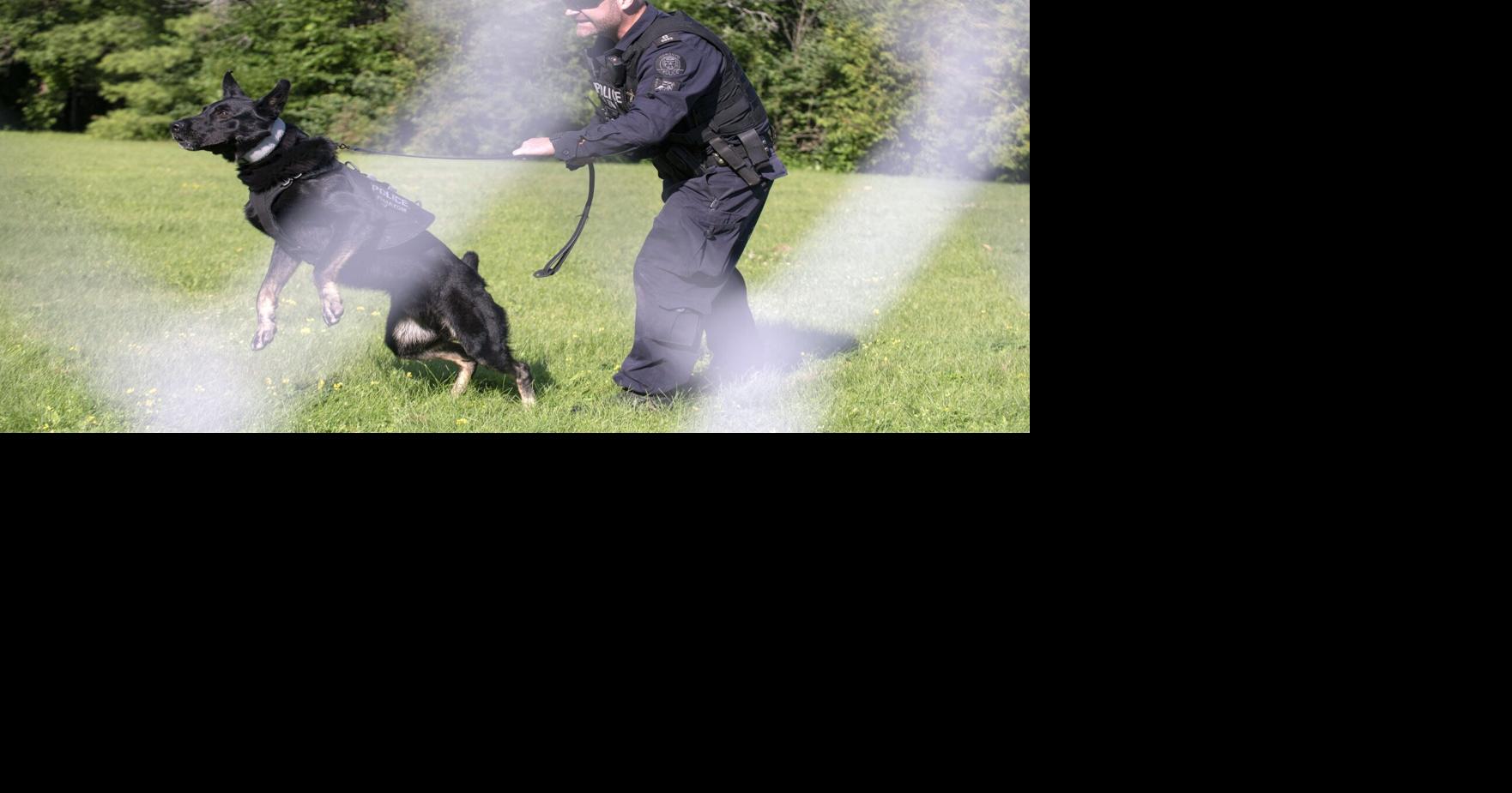 Toronto Police hold open house at the K9 unit