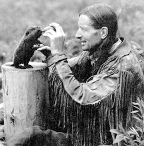 STORIES FROM ROUGE PARK: Baby beavers are part of the legacy of the ...