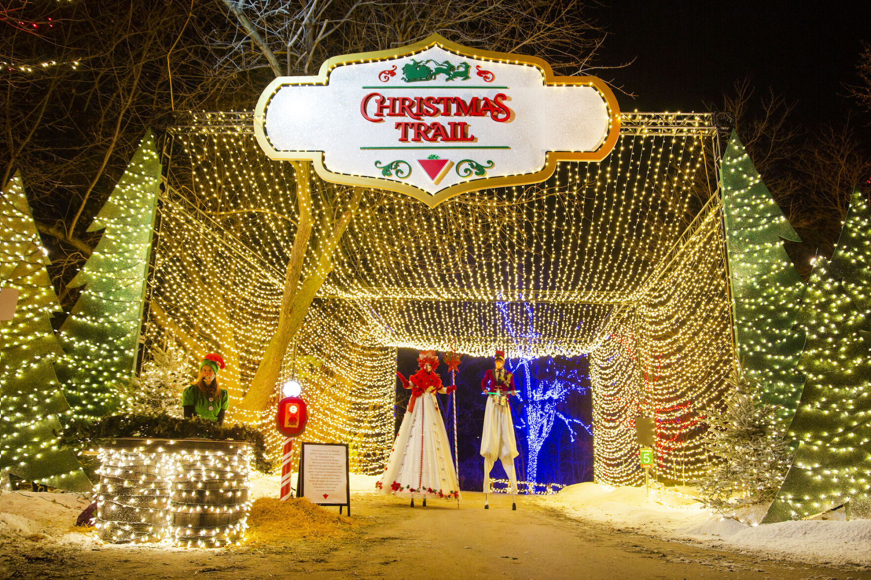 7 in person ways to experience Christmas in Toronto in December 2020 Things To Do toronto