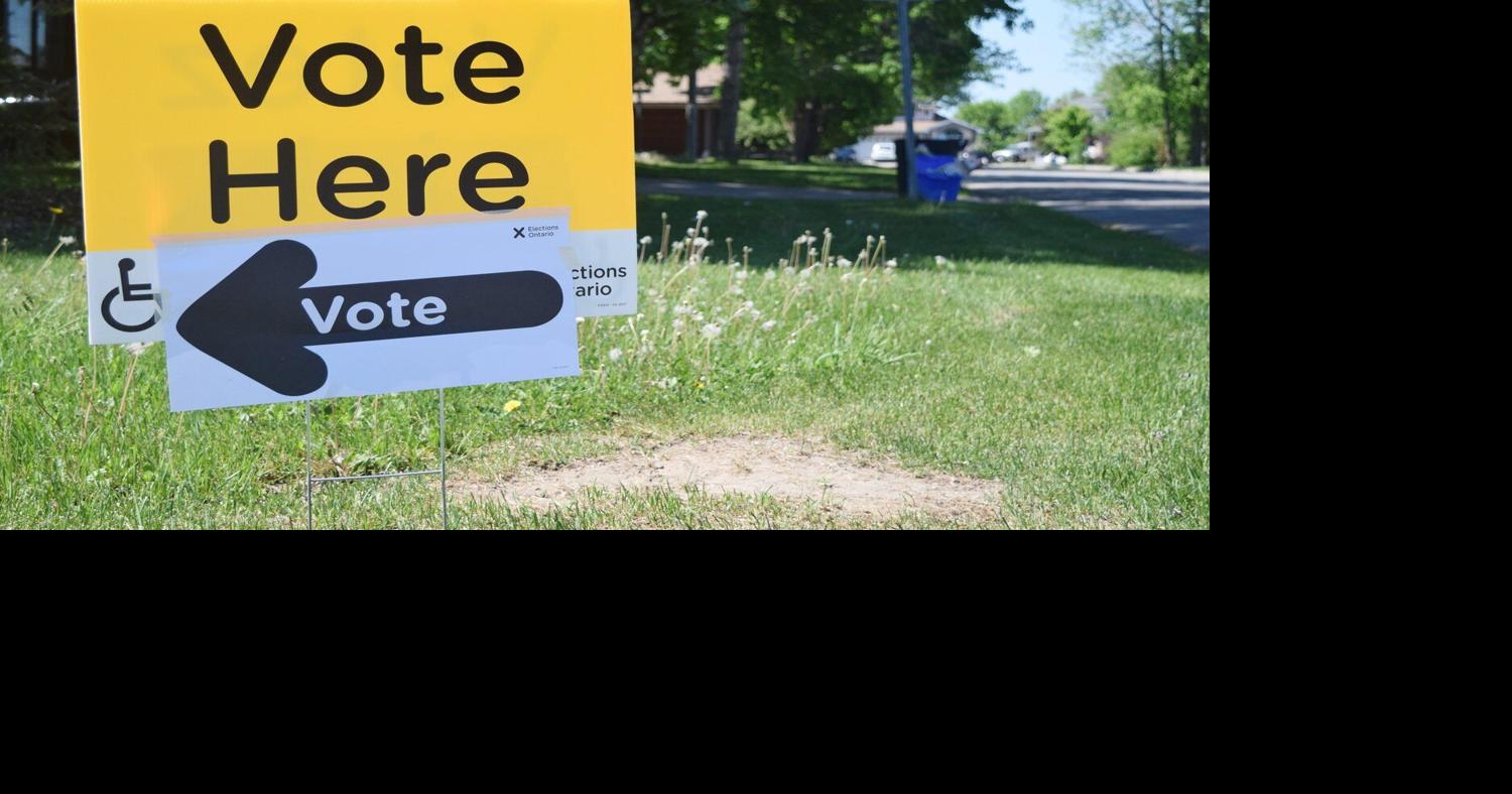 Vote 2019: Here’s what you need to know