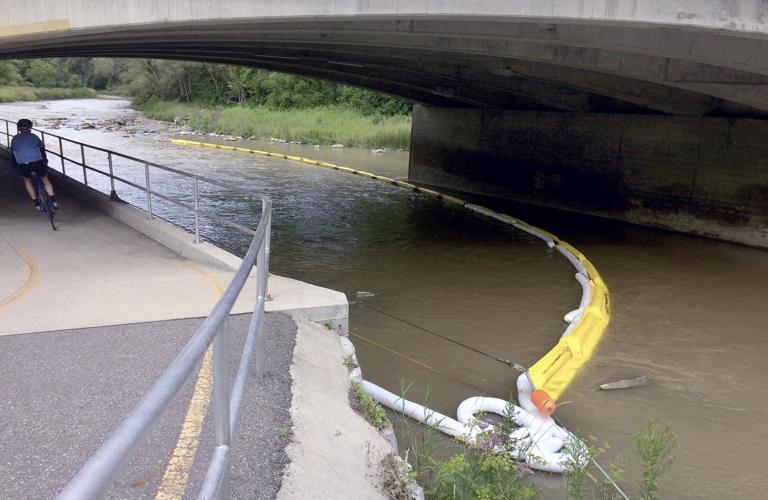Oil-slicked ducks, geese rescued from Humber River following spill ...