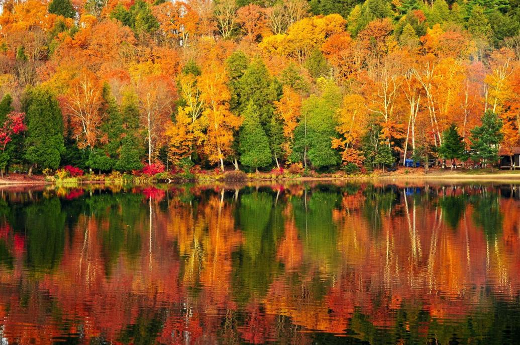 This map shows where to see Ontario’s fall colours