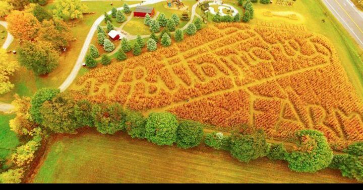 Best Family-Friendly Farms in Toronto & the GTA | Things To Do ...