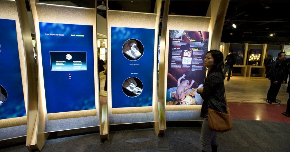 Learn about your amazing body at Ontario Science Centre’s Human Edge ...