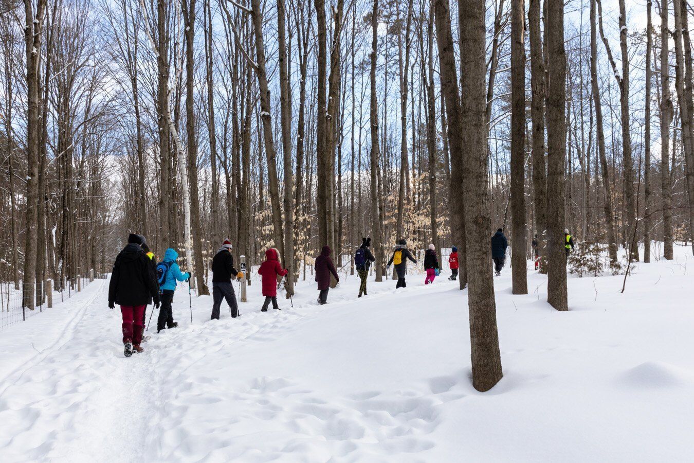 Best winter hiking trails in and around Toronto & the GTA