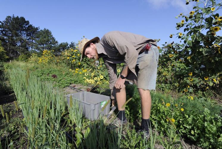 PHOTO SHOOTS: Black Creek Community Farm a place for urban agriculture
